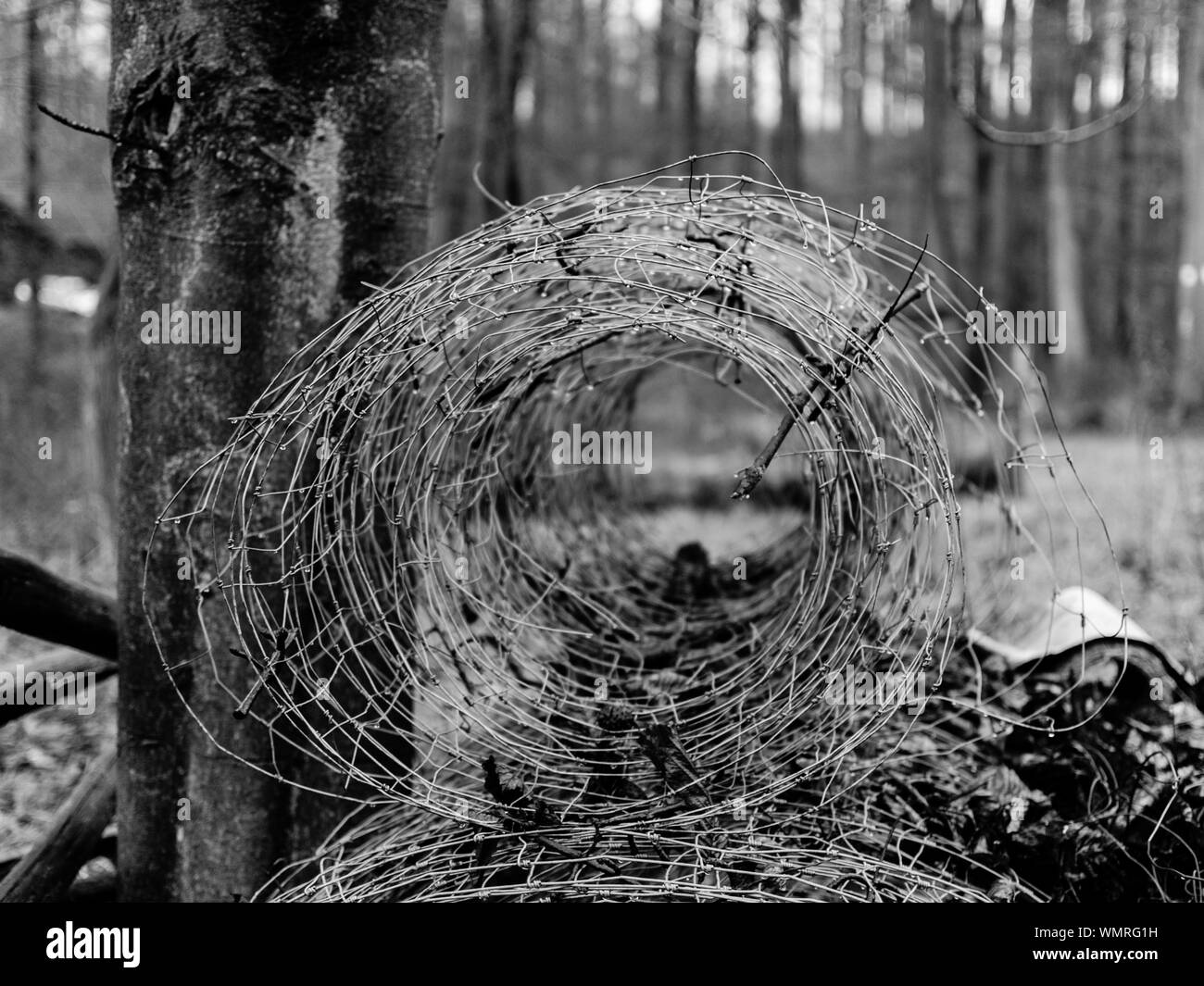 Wire mesh wire Black and White Stock Photos & Images - Alamy