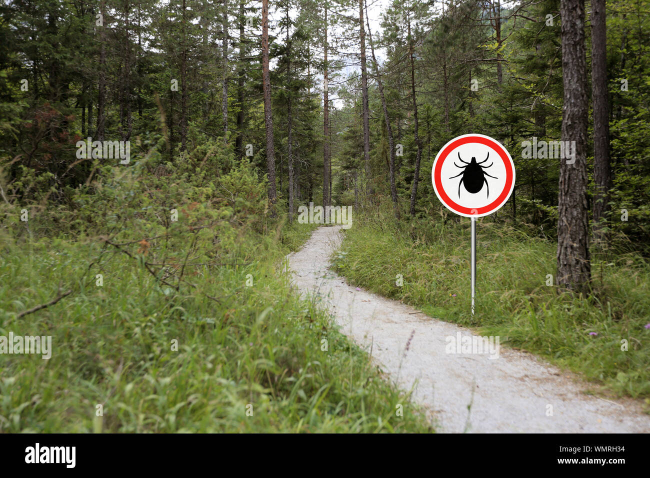 Tick insect warning sign in infected forest. Lyme disease and ...