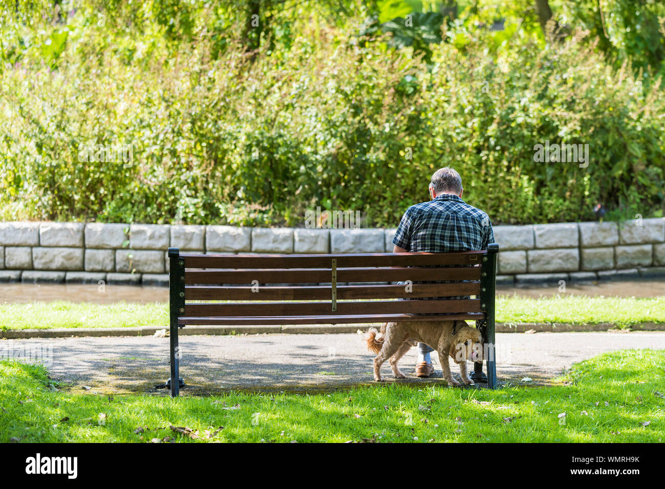 A man sitting on a bench with his pet dog in Trenance Gardens in ...