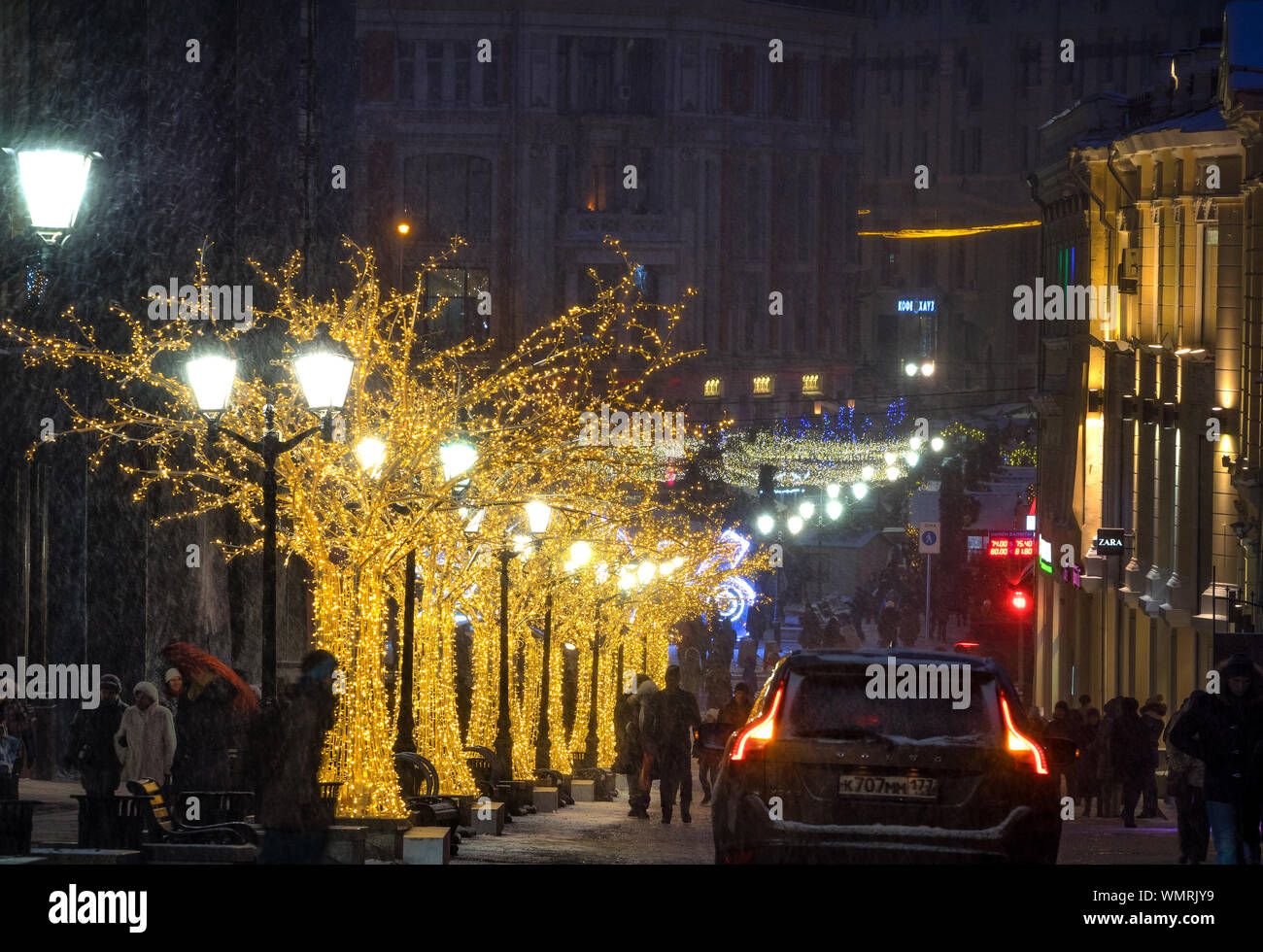 Lights on trees hi-res stock photography and images - Alamy