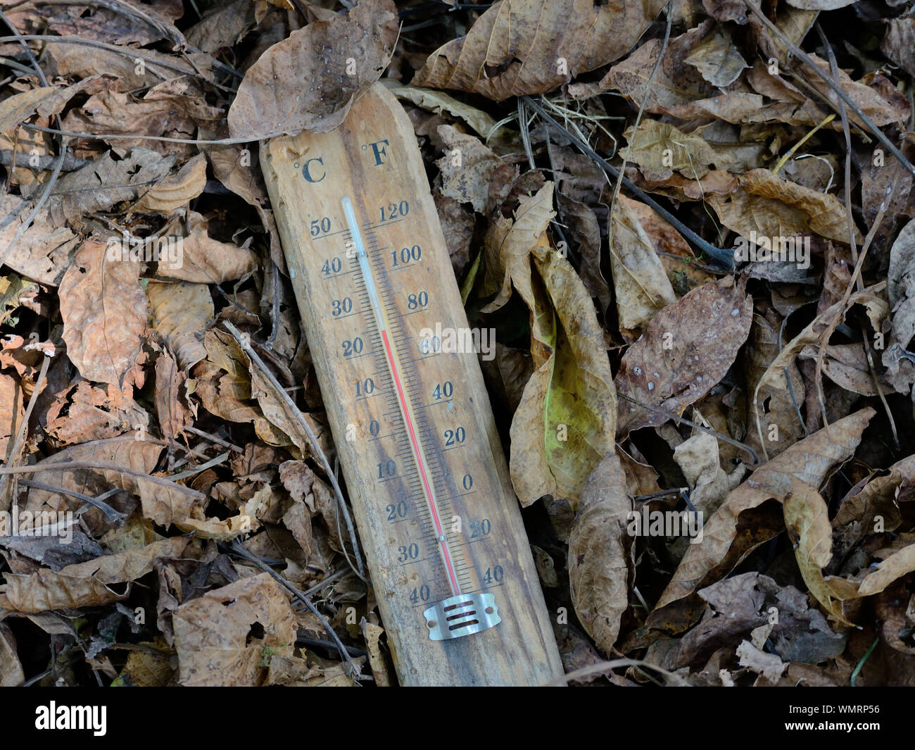 Five degrees hi-res stock photography and images - Alamy