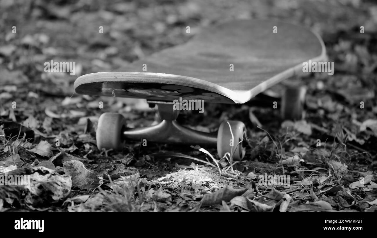 On wooden ground Black and White Stock Photos & Images - Alamy