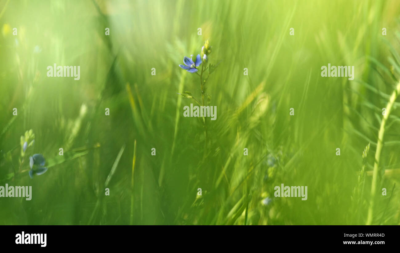 Selective view hi-res stock photography and images - Alamy