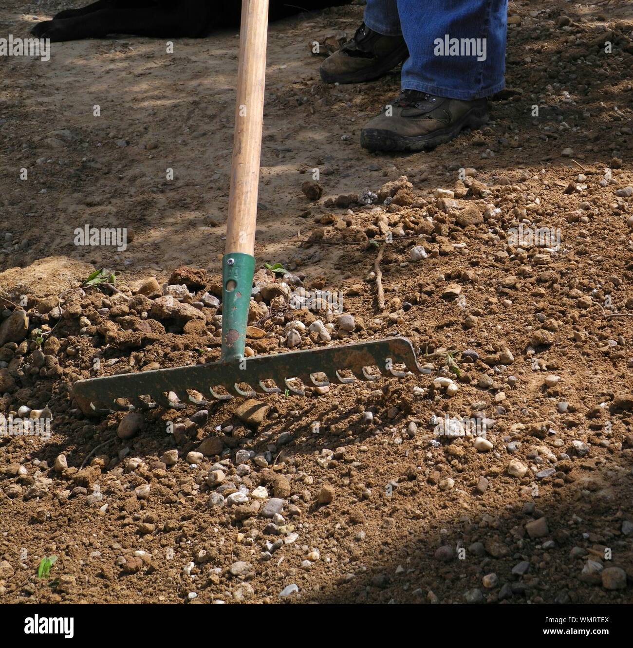 Man with rake hi-res stock photography and images - Alamy