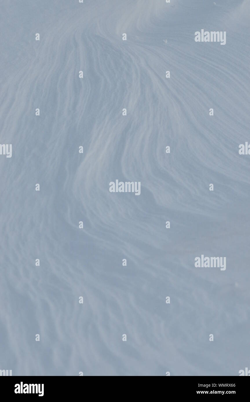 Streaks of snow. Snowflakes on the ice. Winter and frost. ice sheet ...