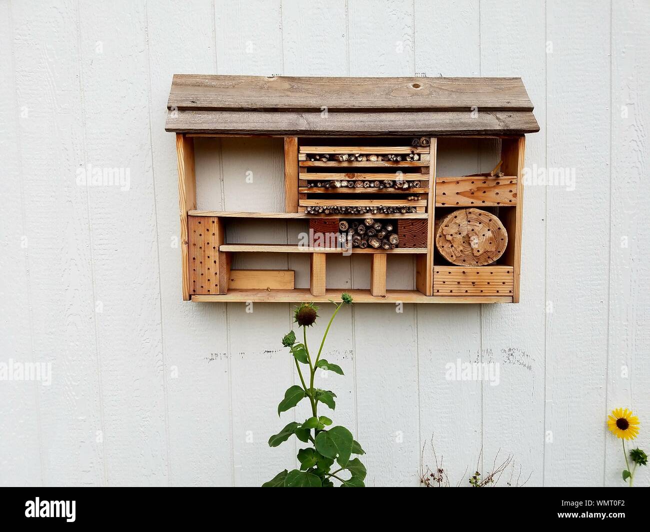 Bee house structure hi-res stock photography and images - Alamy