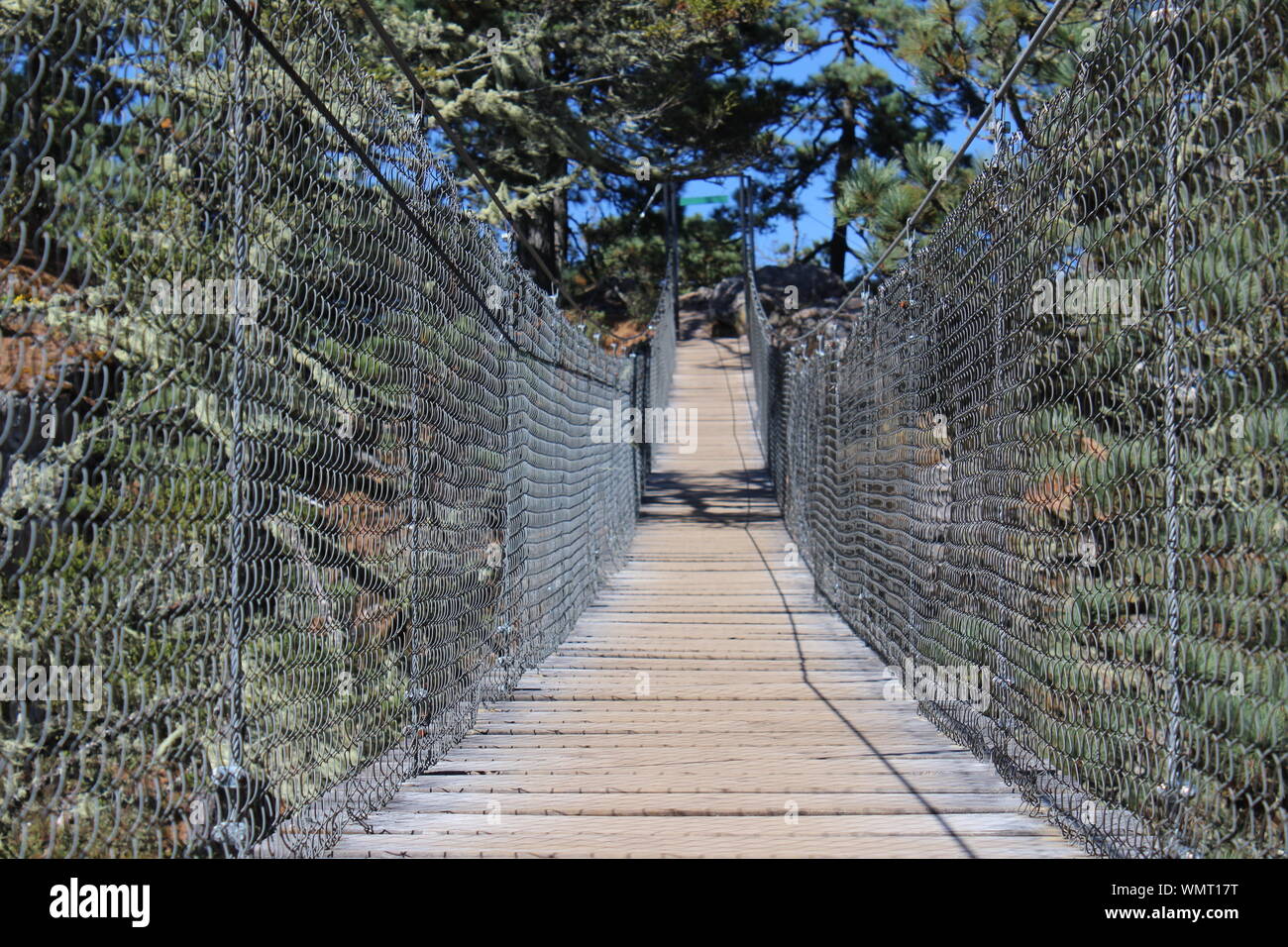 Wooden suspension pathway hi-res stock photography and images - Alamy