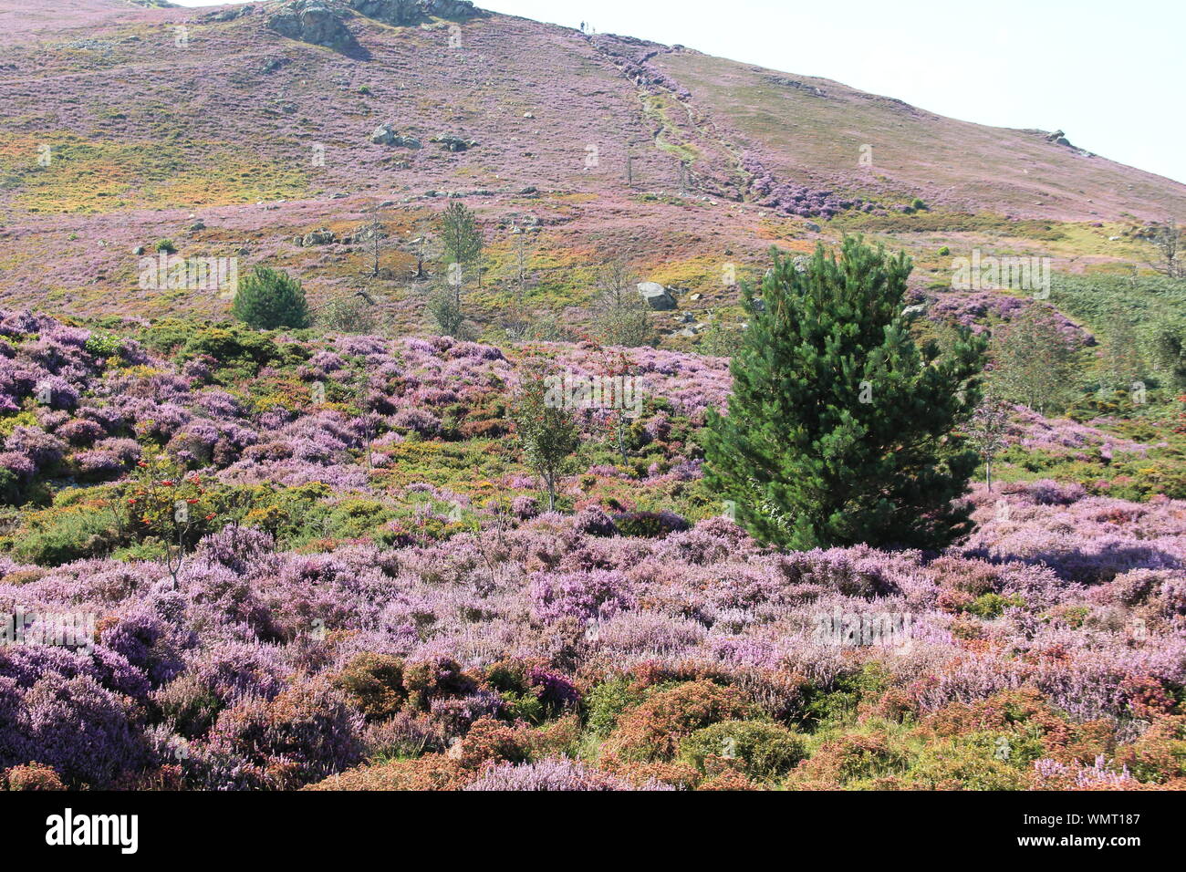 Penmaenmawr quarry hi-res stock photography and images - Alamy