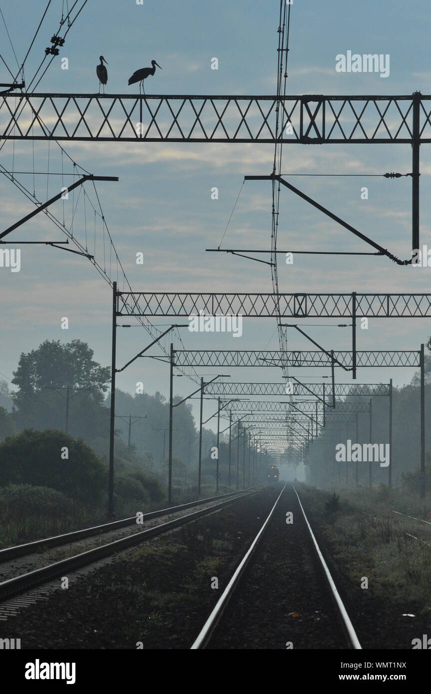 Railroad tracks on the embankment. Electric railway with pylons Stock ...
