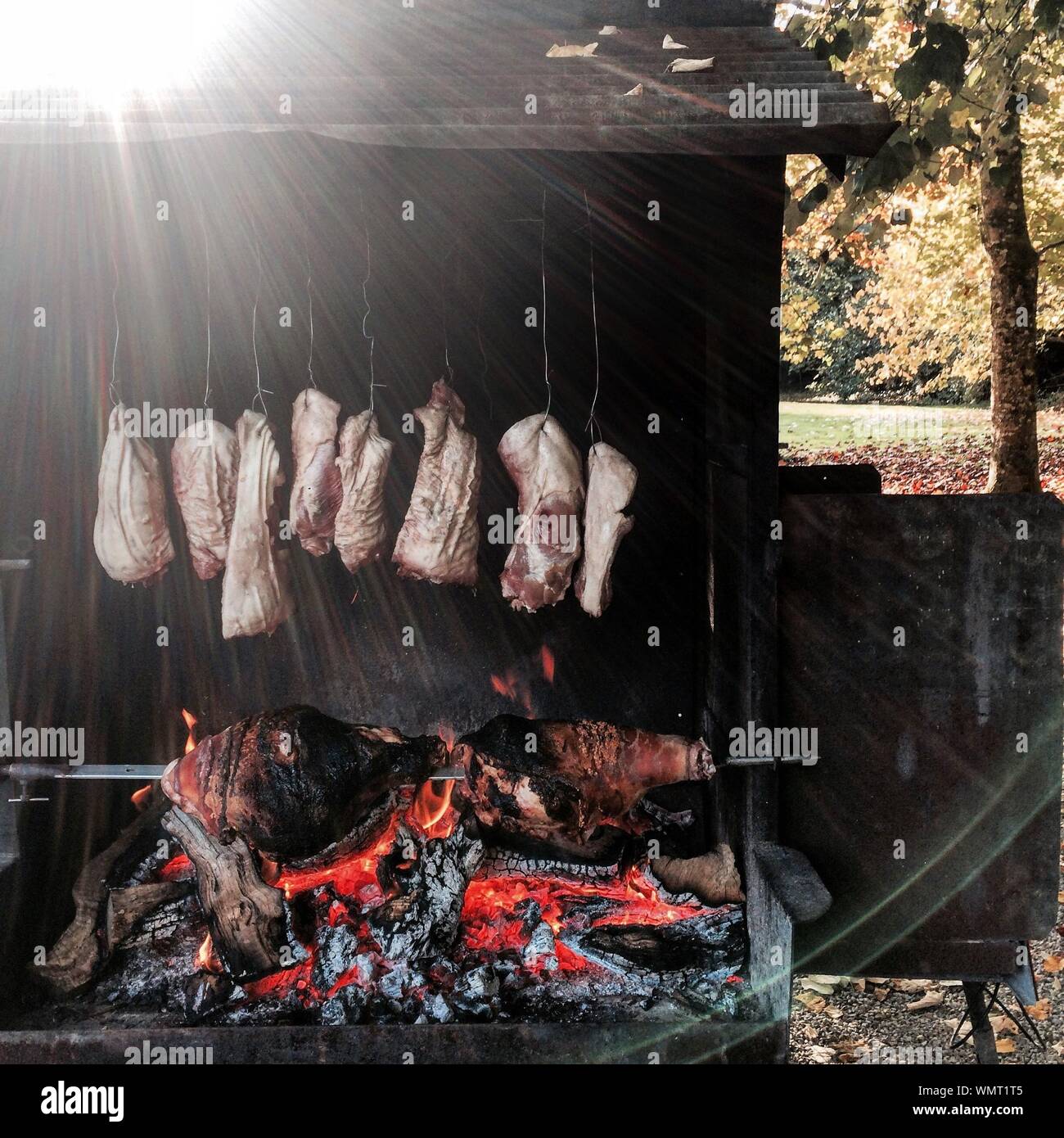 Sunbeam Grill High Resolution Stock Photography and Images - Alamy
