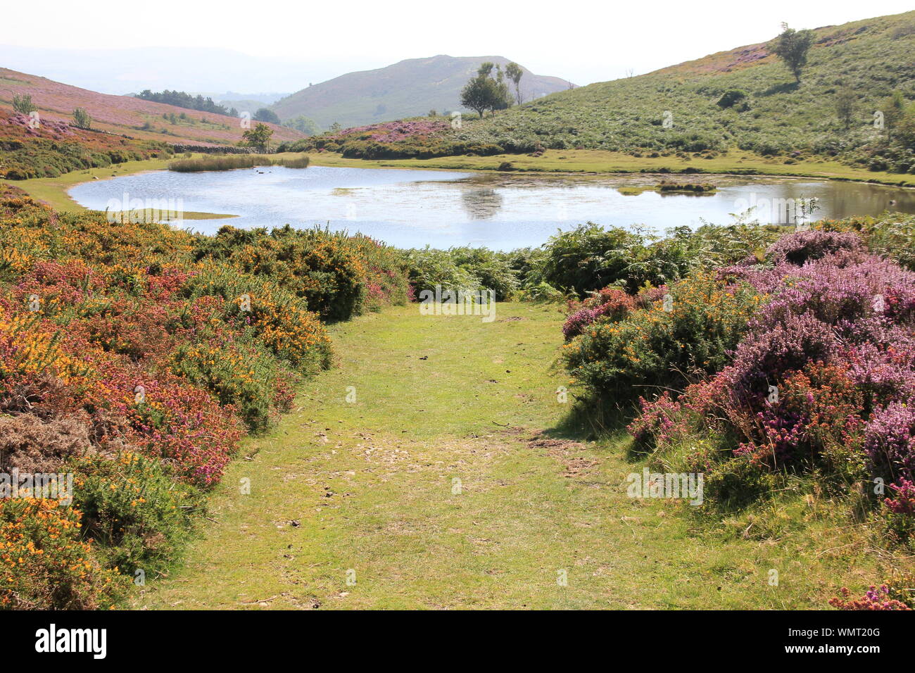 Penmaenmawr quarry hi-res stock photography and images - Alamy