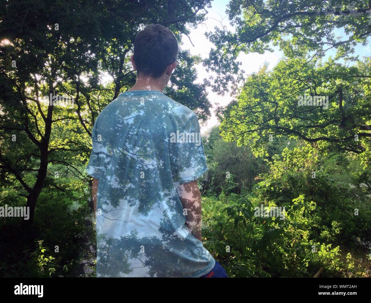 Double exposure man tree hi-res stock photography and images - Alamy