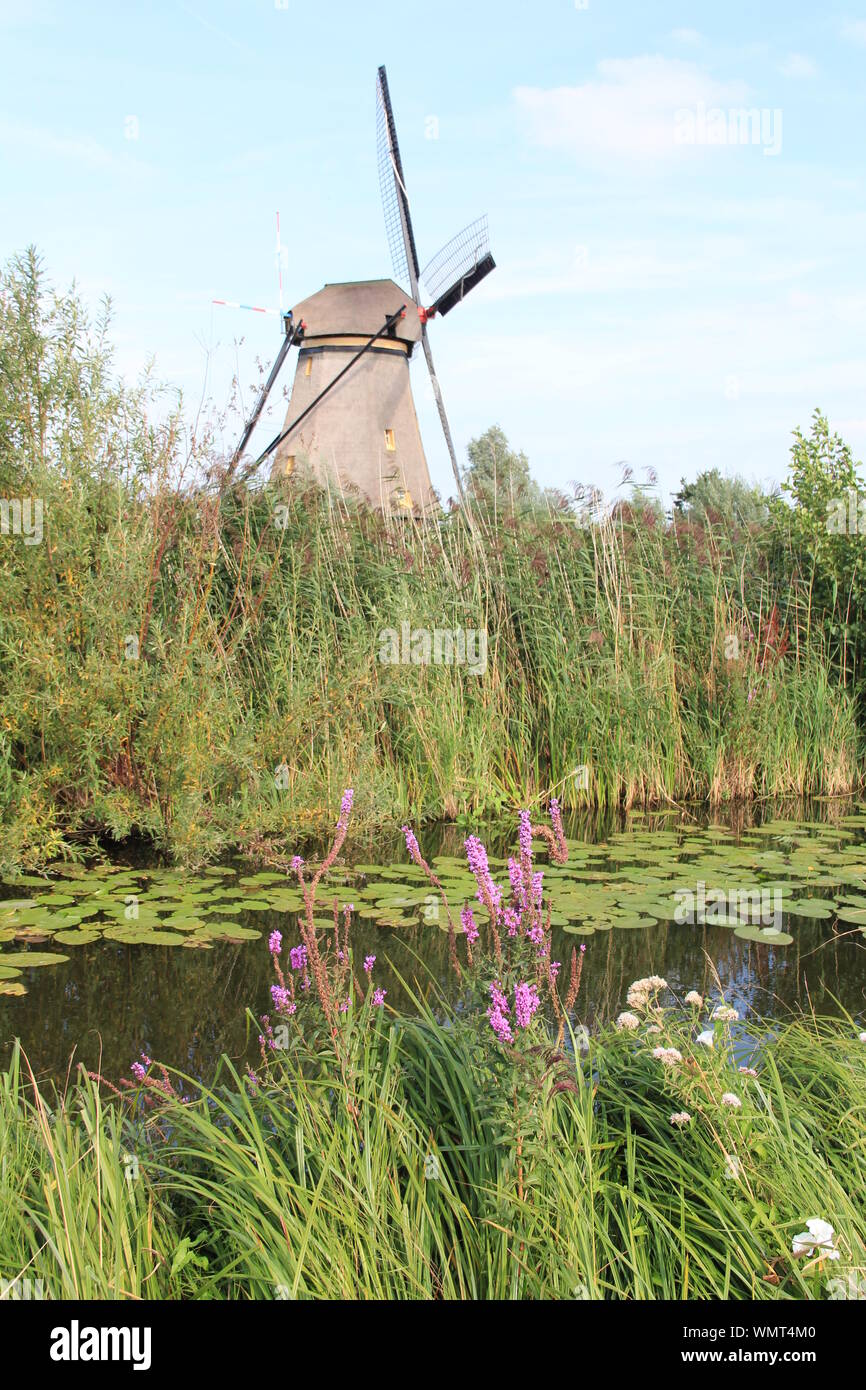 Kinderdijk cradle hi-res stock photography and images - Alamy