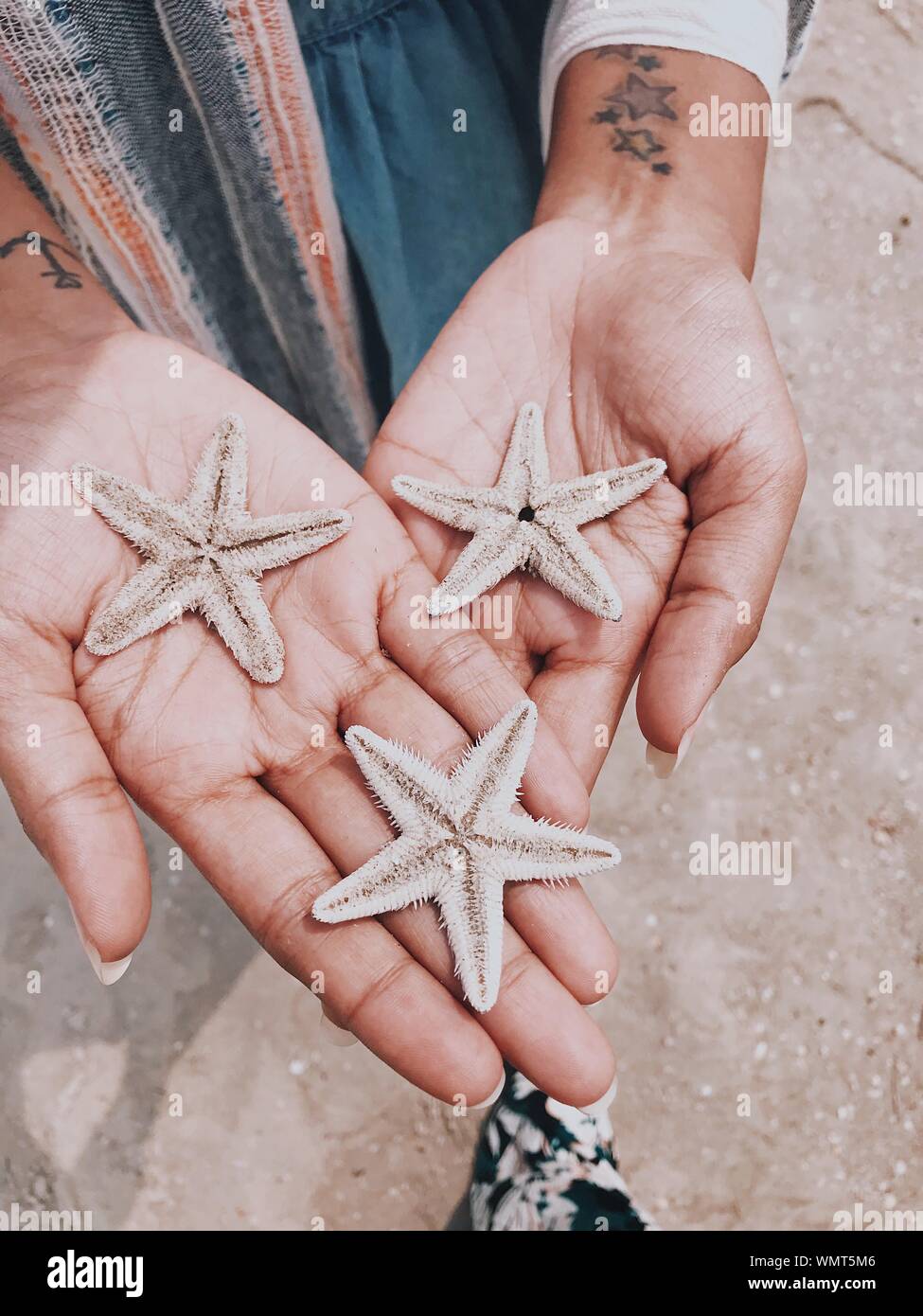Humans Holding Starfishes