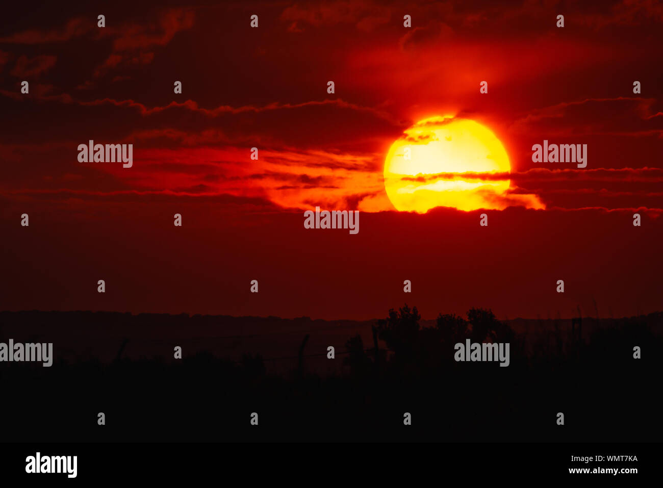 big red sun and clouds in the sunset Stock Photo - Alamy
