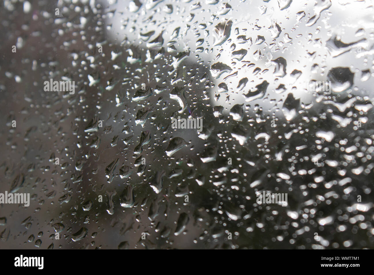 Raindrops on a window pane. Drops of water flow down the surface ...