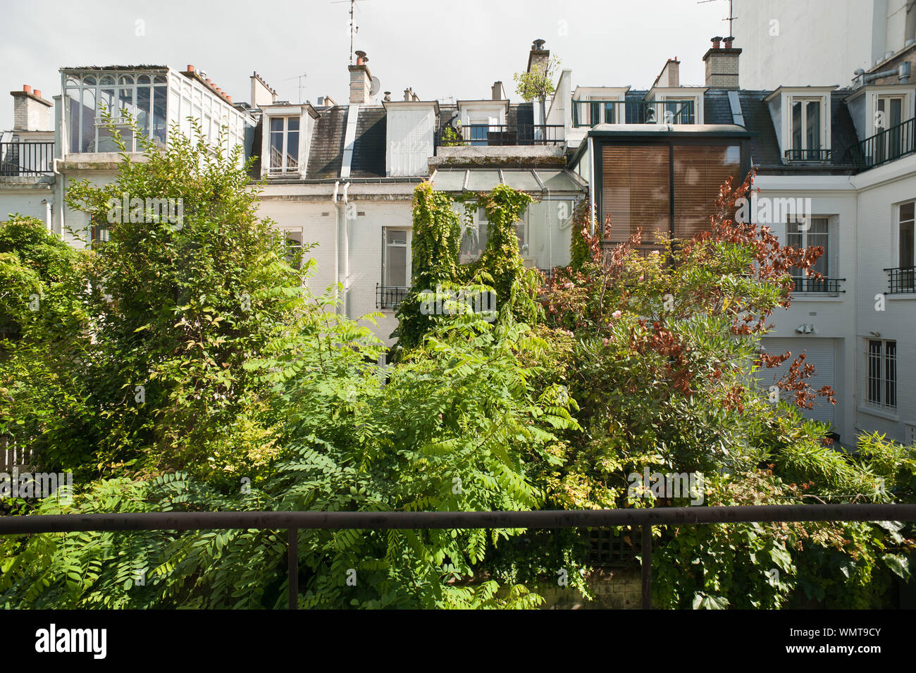 Paris, begrünter Innenhof - Paris, green Backyard Stock Photo - Alamy