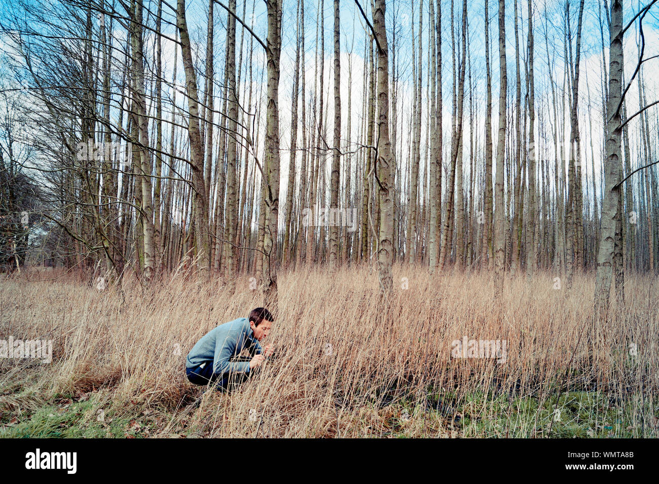 Man Hiding In Tree High Resolution Stock Photography and Images - Alamy