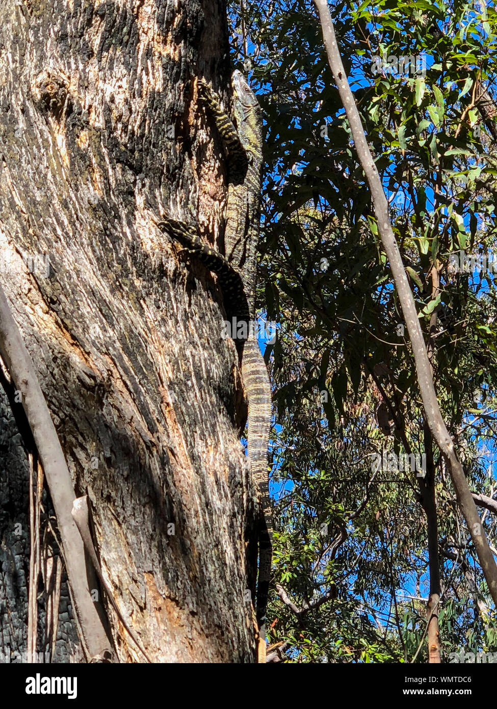 Outback australian aus nsw environment hi-res stock photography and ...