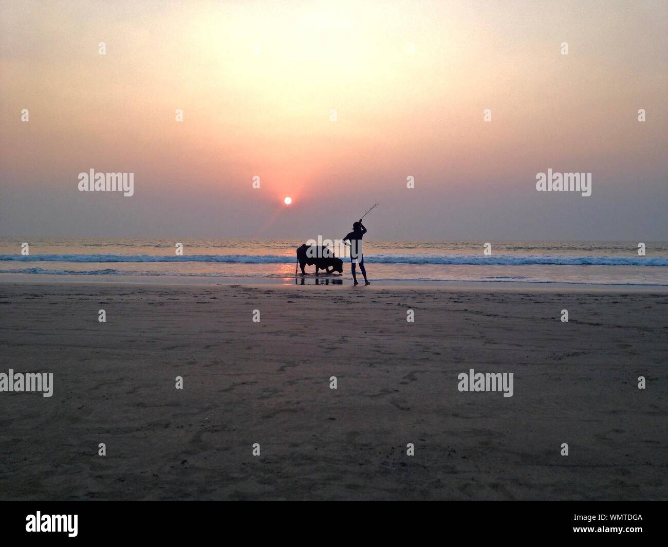 Buffalo beach hi-res stock photography and images - Alamy