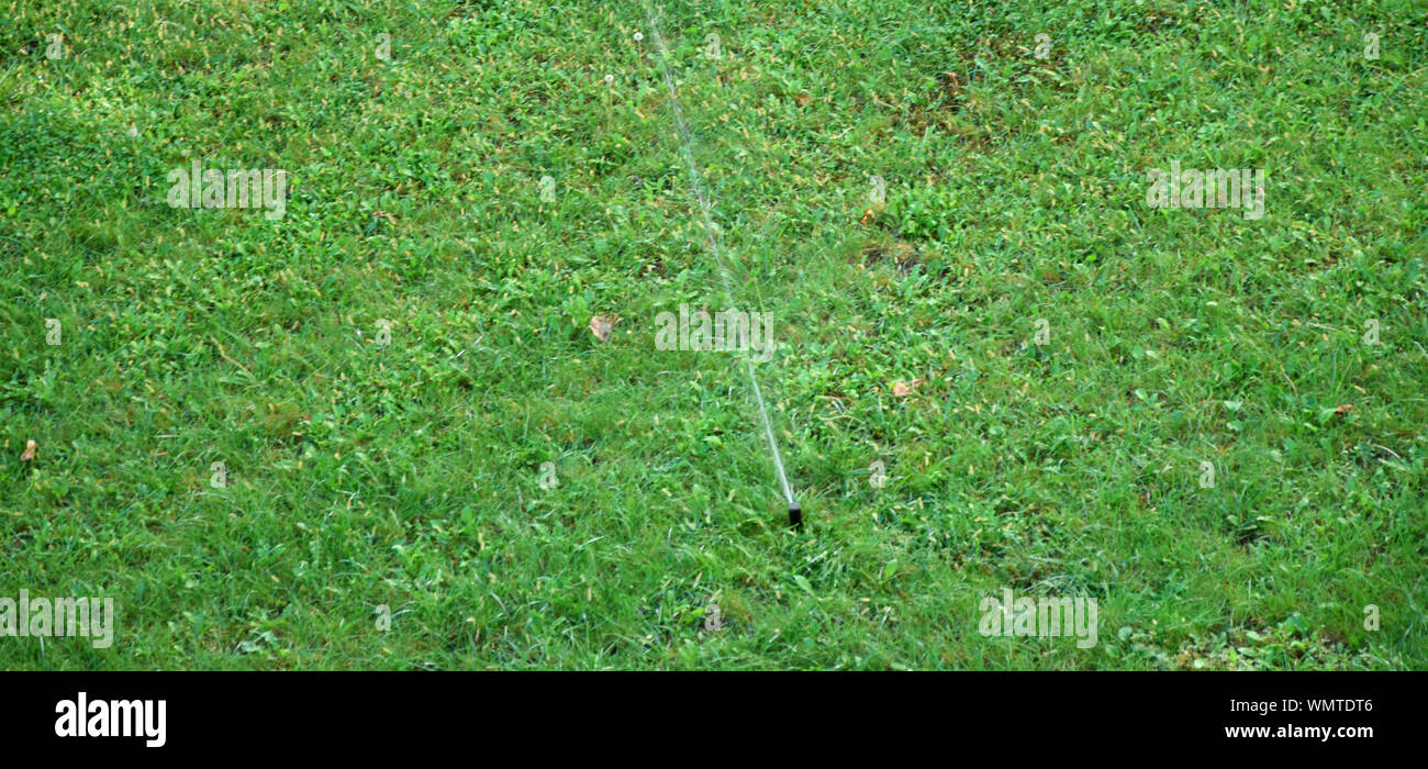 Sprinkler spraying drops water on hi-res stock photography and images ...