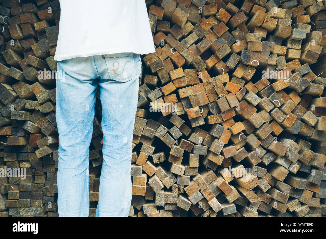 Standing timber hi-res stock photography and images - Alamy