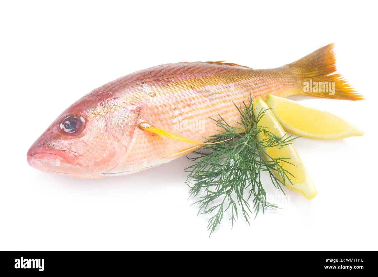 Raw red snapper hi-res stock photography and images - Alamy