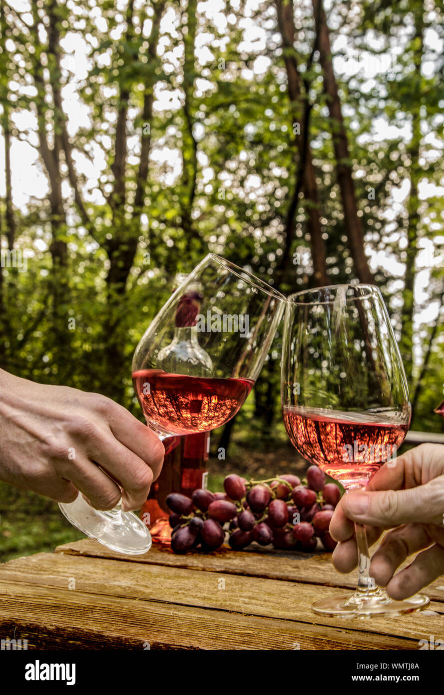 Human hands toasting drinking glasses hi-res stock photography and ...
