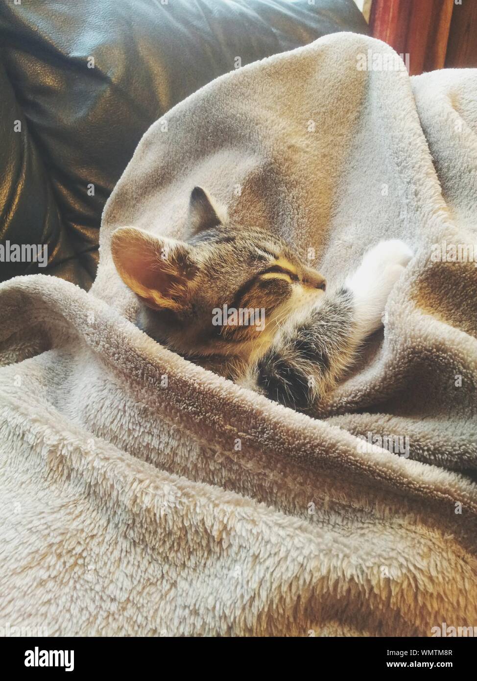 Body under blanket hi-res stock photography and images - Alamy