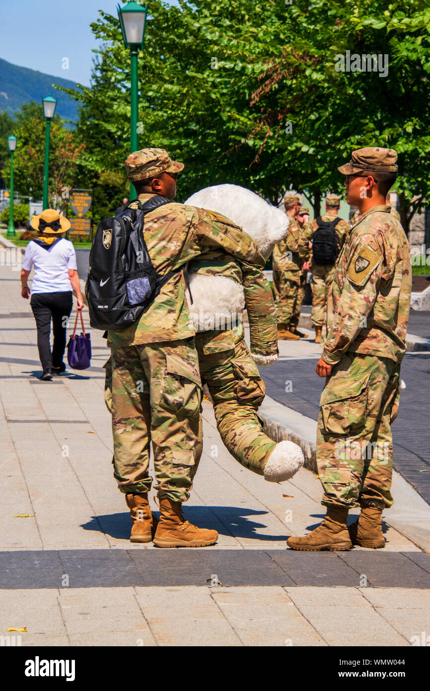 Military Mascot High Resolution Stock Photography and Images - Alamy