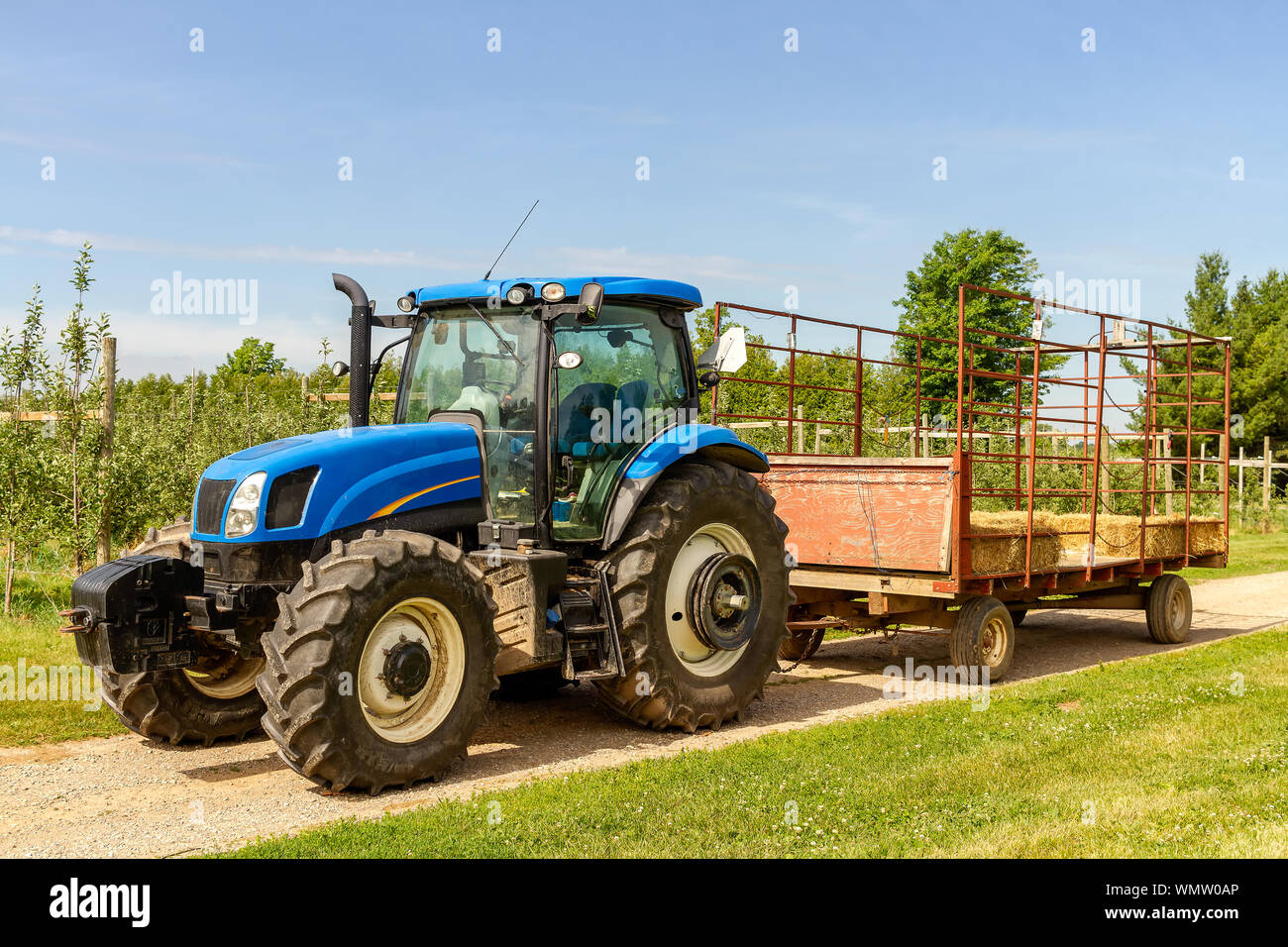 Agricultural machinery on the field moves bales of hay after harvesting ...