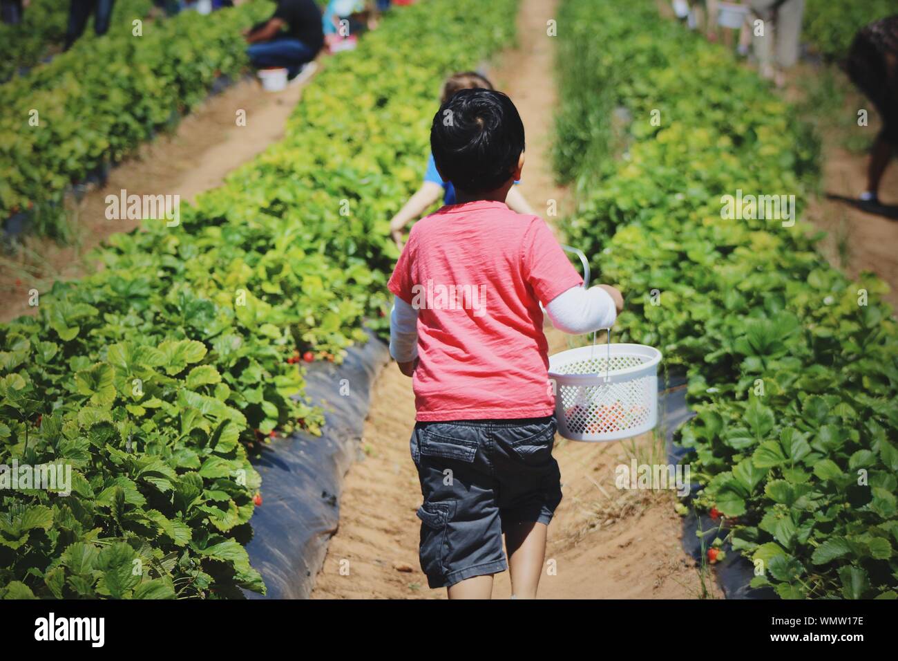 Two boys running hi-res stock photography and images - Alamy