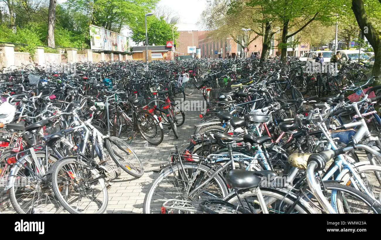 Side View Of Parked Bicycles Stock Photo - Alamy