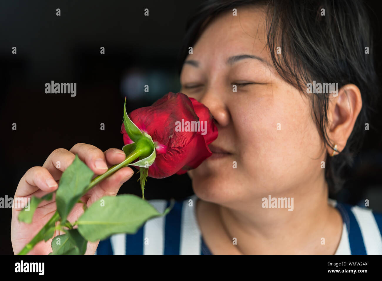 Indian red rose hi-res stock photography and images - Alamy