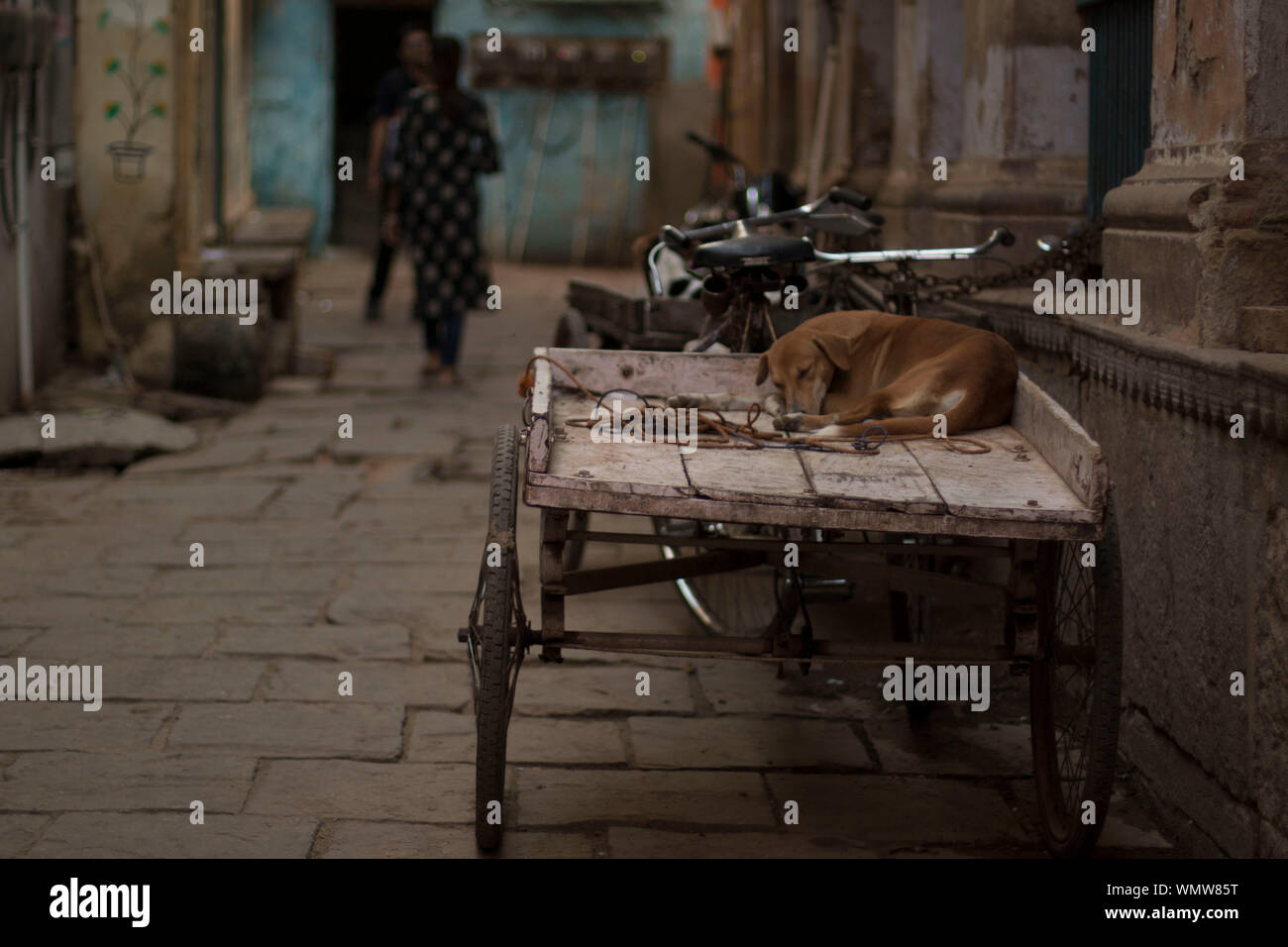 Moment of depth hi-res stock photography and images - Alamy