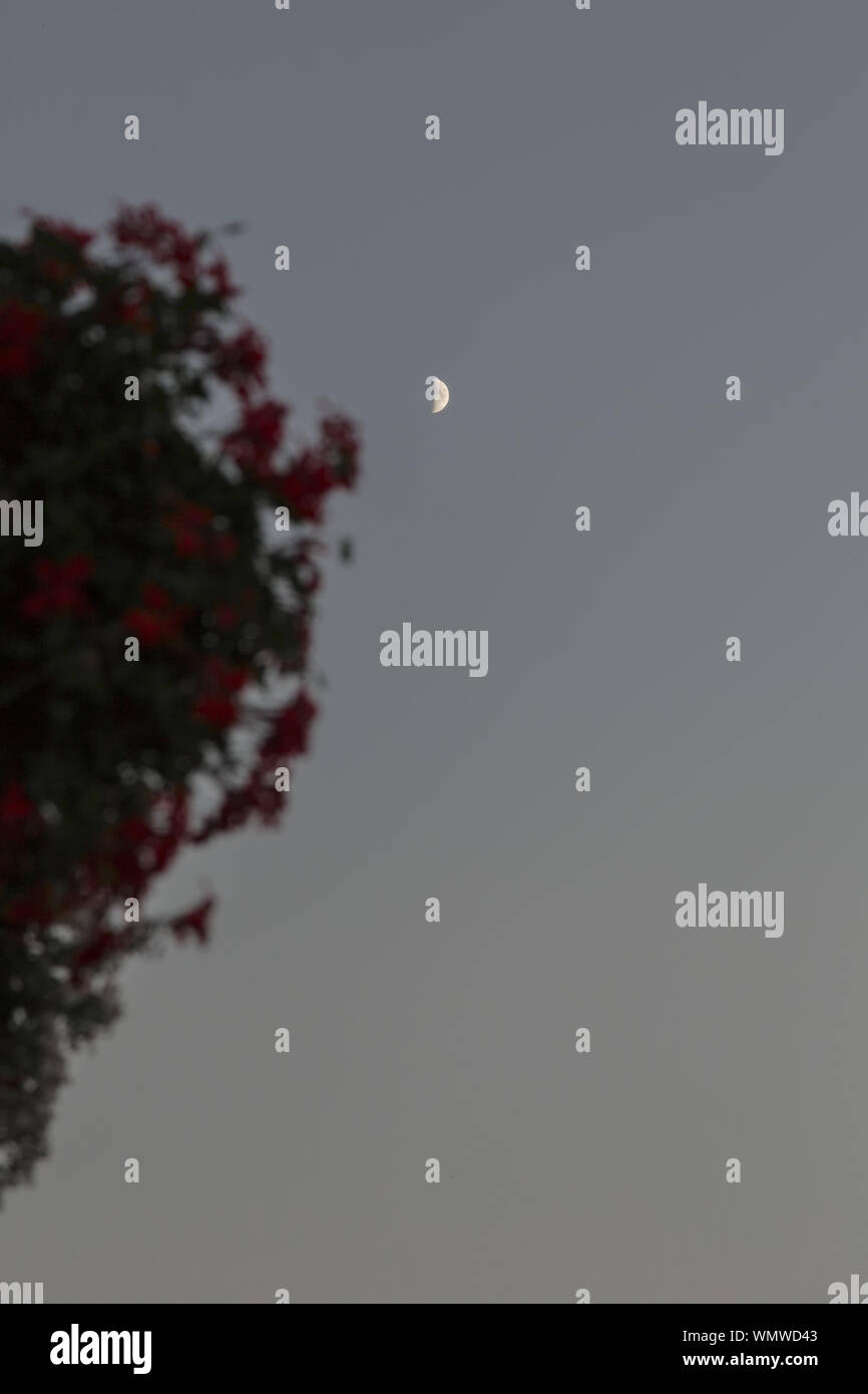 Moon alone hi-res stock photography and images - Alamy