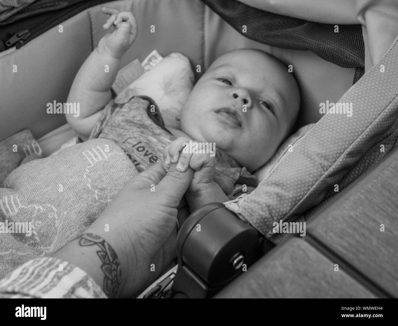 Prame High Resolution Stock Photography and Images - Alamy