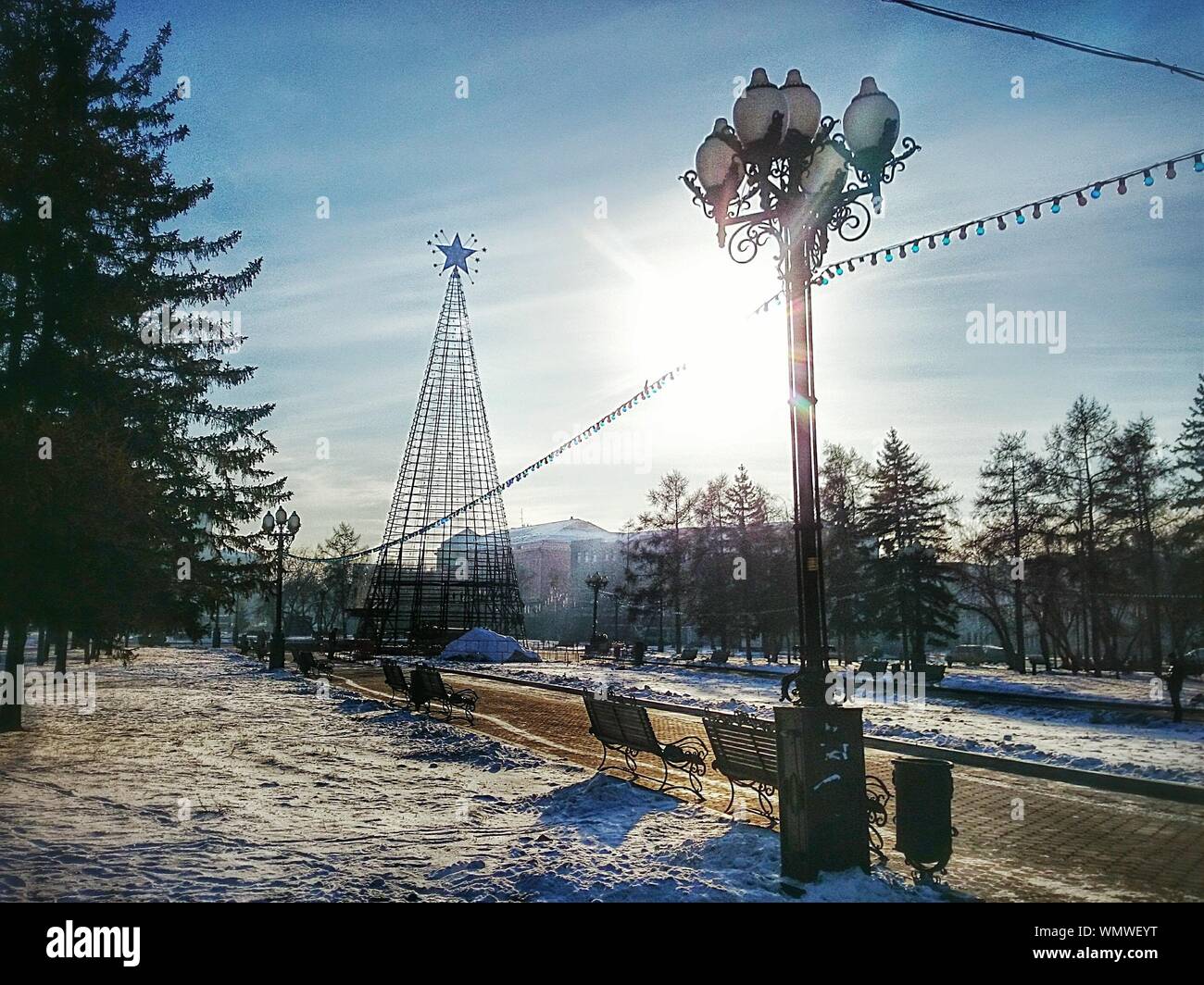 Setting up tree hi-res stock photography and images - Alamy