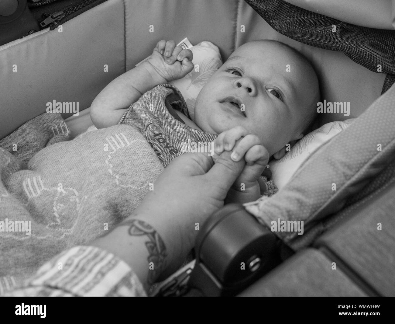 Prame hi-res stock photography and images - Alamy