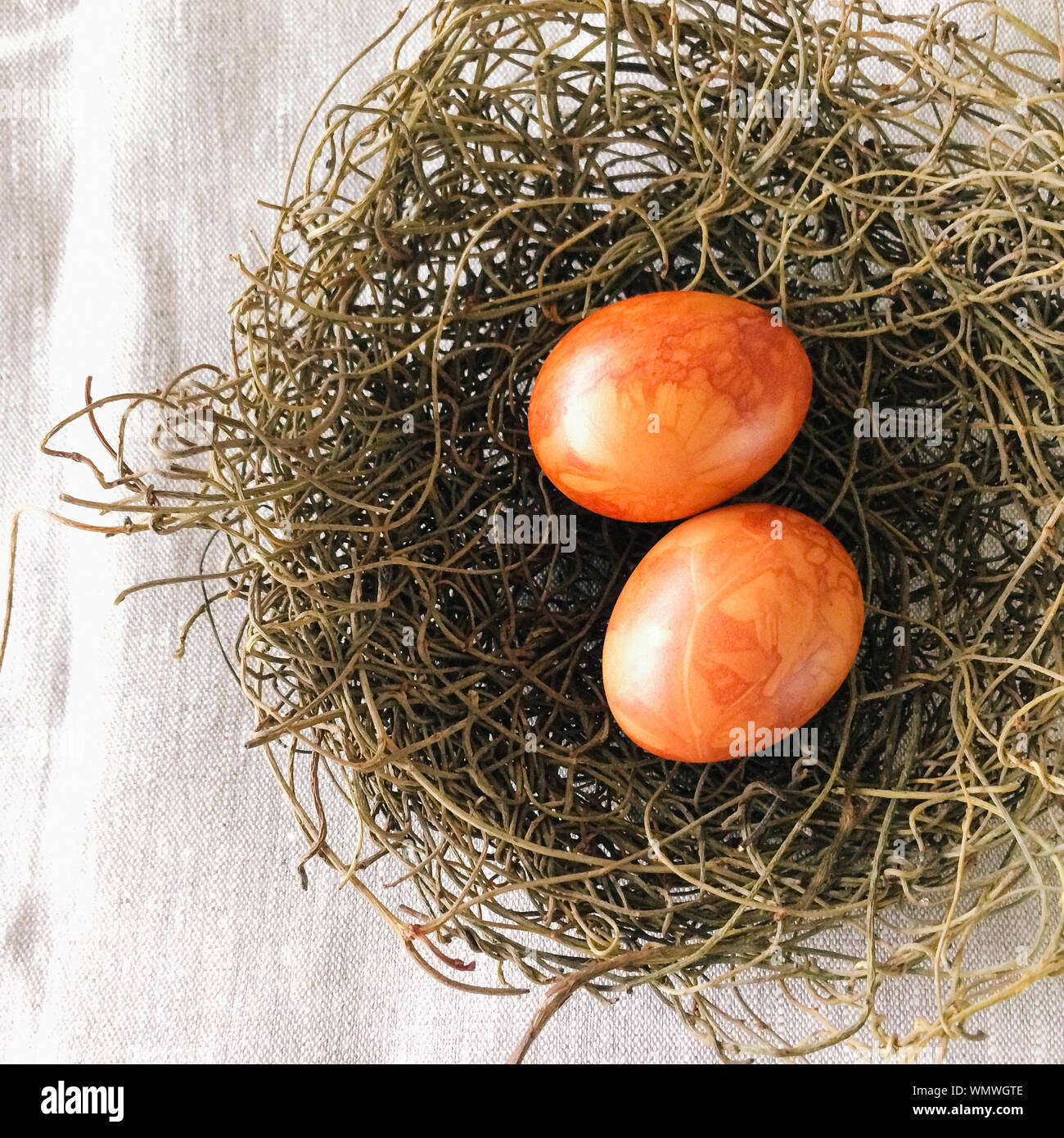 Eggs In Nest Stock Photo - Alamy