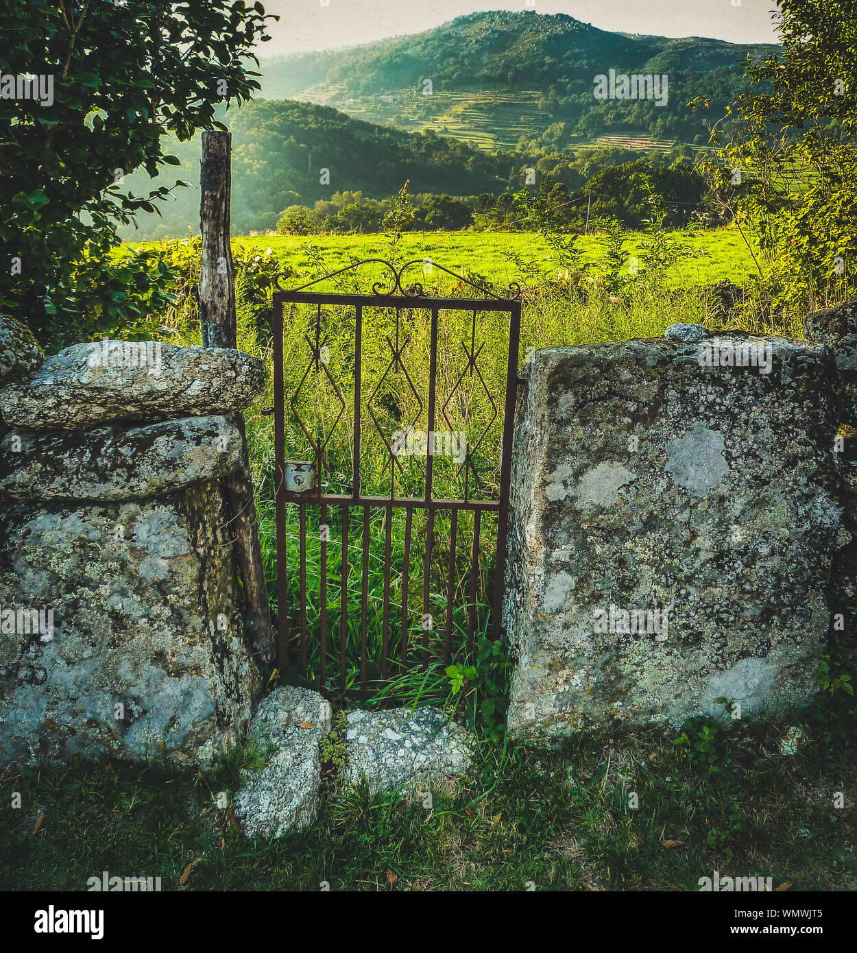 Old field gate hi-res stock photography and images - Alamy