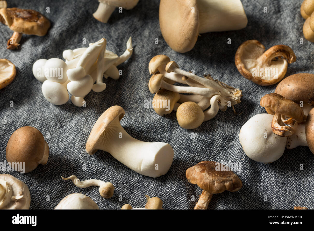 Raw Organic Gourmet Mushroom Assortment in a PIle Stock Photo - Alamy