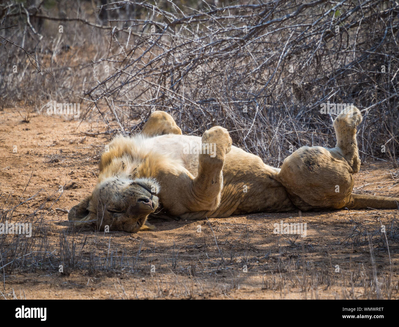 Back view africa hi-res stock photography and images - Alamy