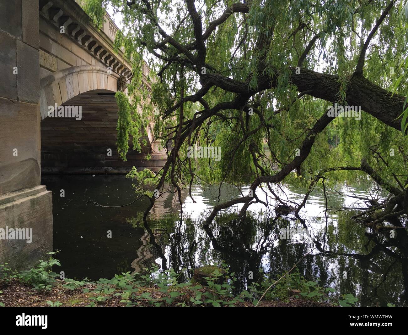 Bridge over water tree hi-res stock photography and images - Alamy