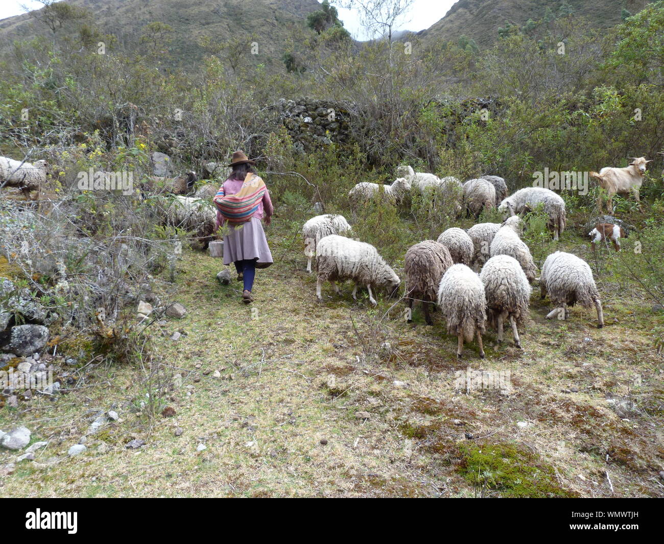 Woman shepherd hi-res stock photography and images - Alamy