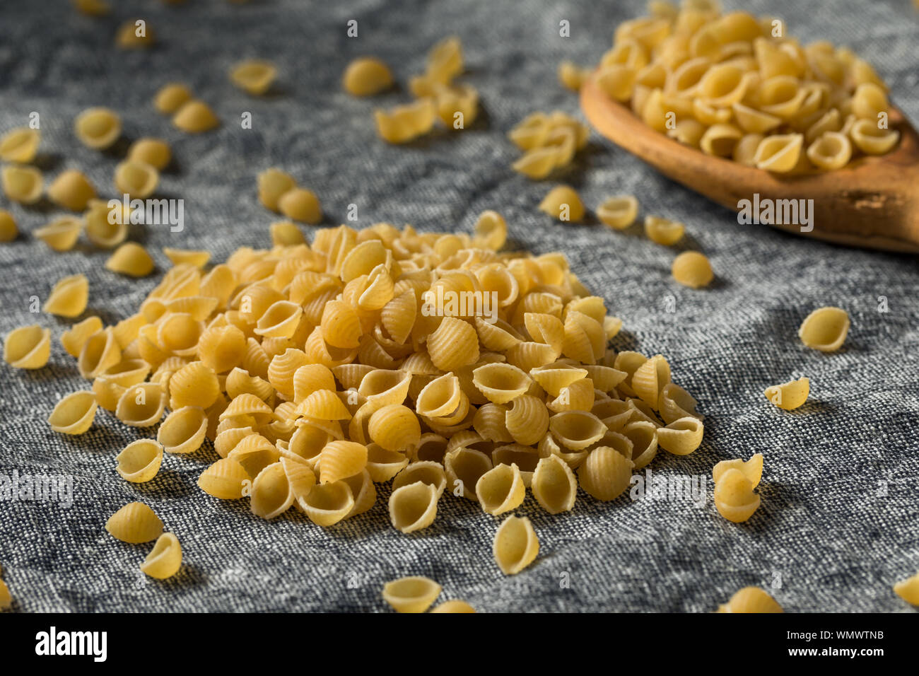 Elbow shells hi-res stock photography and images - Alamy