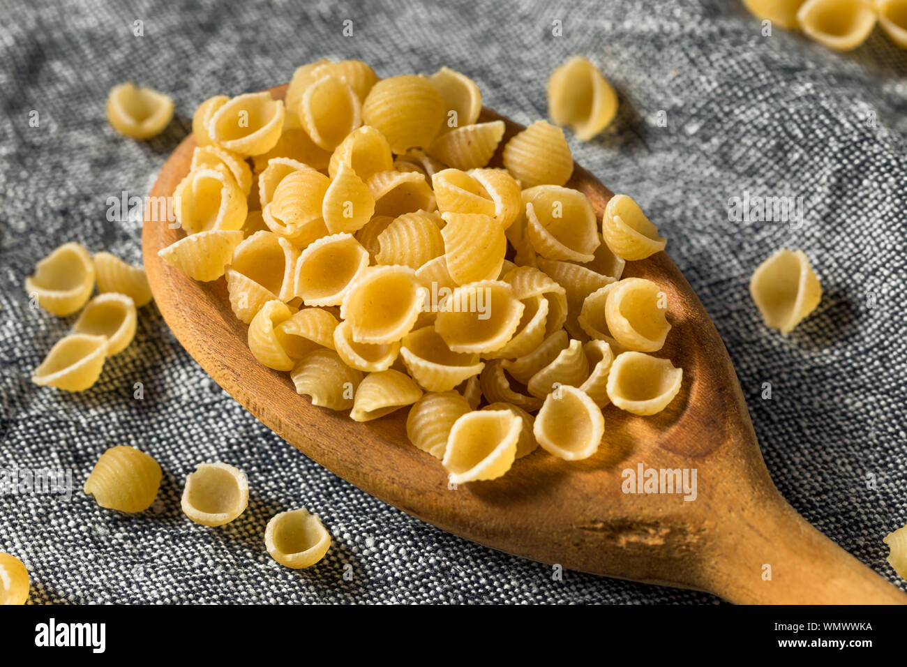 Elbow shells hi-res stock photography and images - Alamy