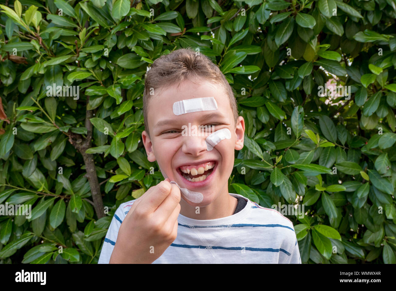 Boy with plaster on his face in front of a hedge laughing Stock Photo ...