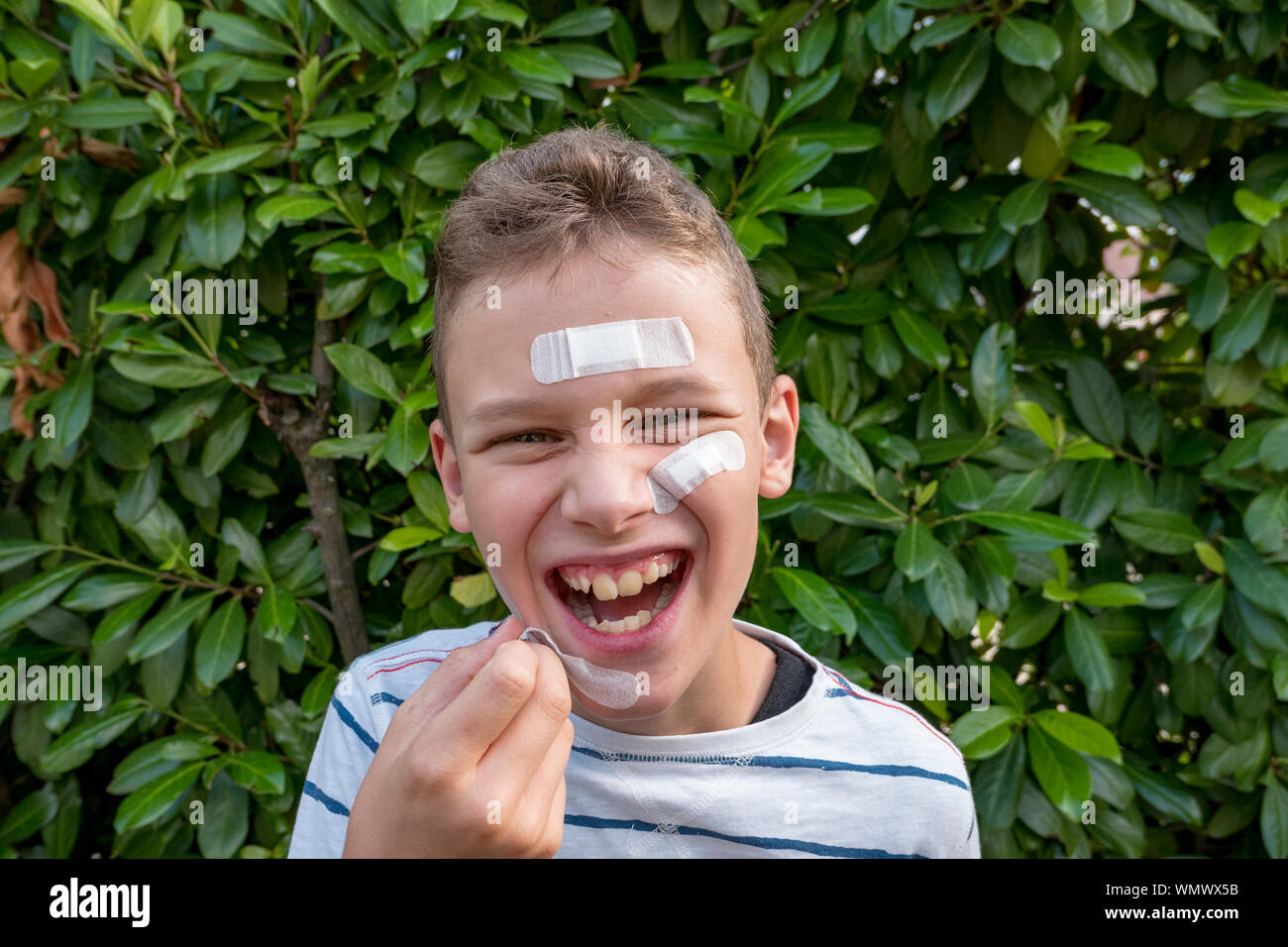 Boy with plaster on his face in front of a hedge laughing Stock Photo ...