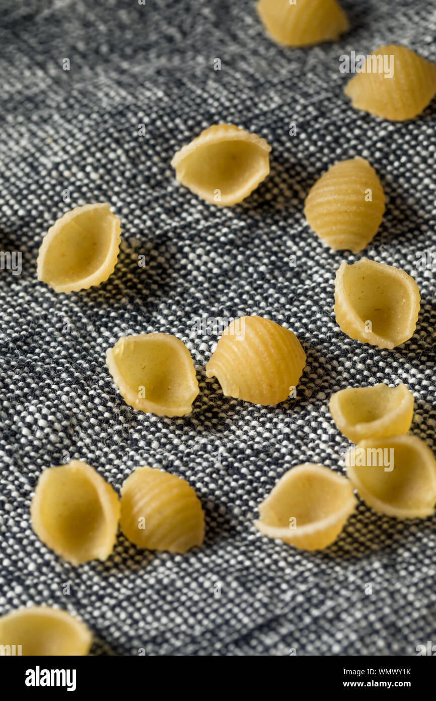 Dry Organic Macaroni Shells in a Pile Stock Photo - Alamy